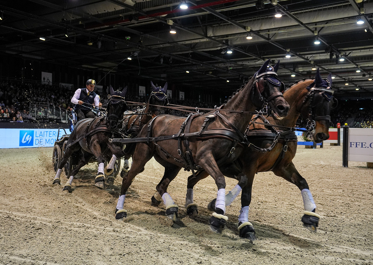 FEI Driving World Cup™ Final by LAITERIE DE MONTAIGU – Jumping ...